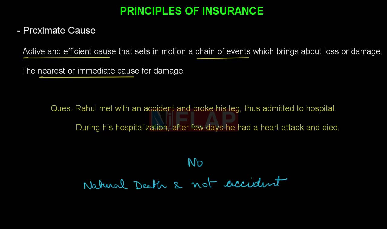 Principles of Insurance - Proximate Cause on Vimeo