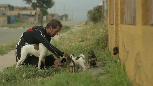 Bastoon and the dogs