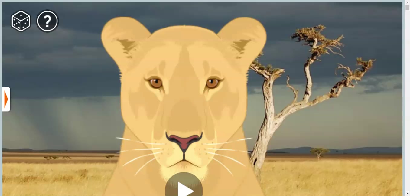 Kitty and Dragon.webm on Vimeo