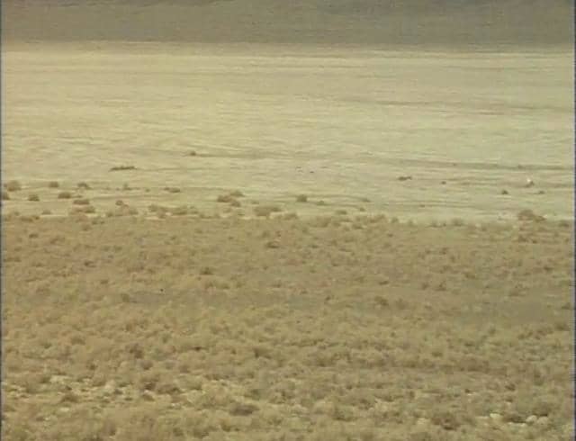 Pyramid Lake is Dying on Vimeo