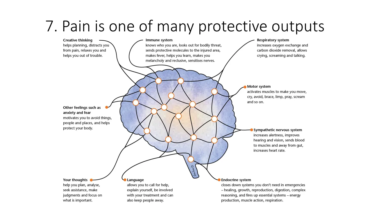 Pain Explained module 3