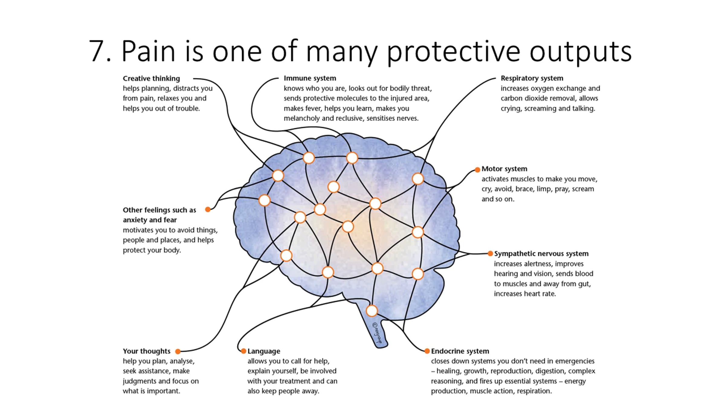 Pain Explained module 3