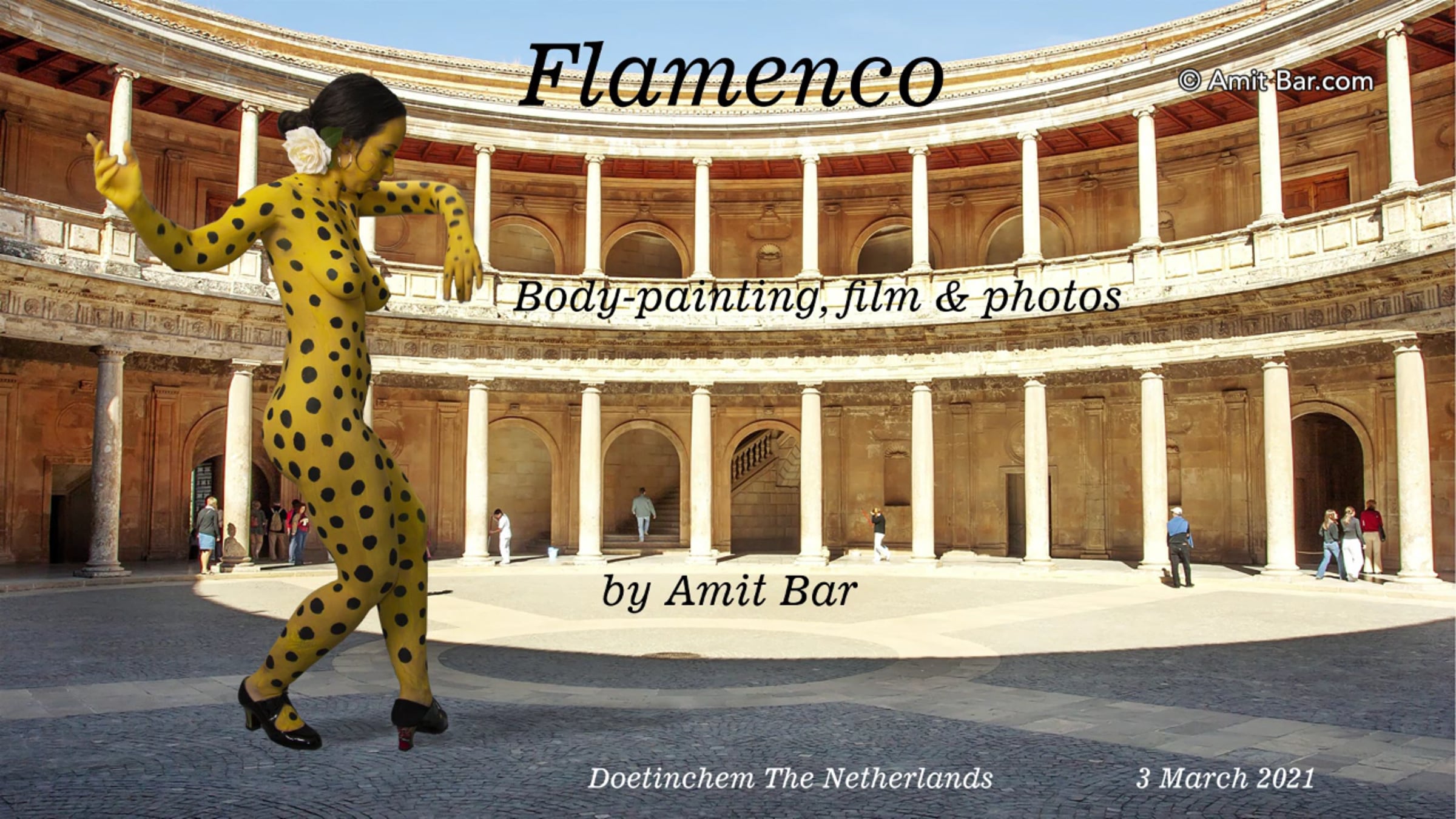Flamenco by Amit Bar