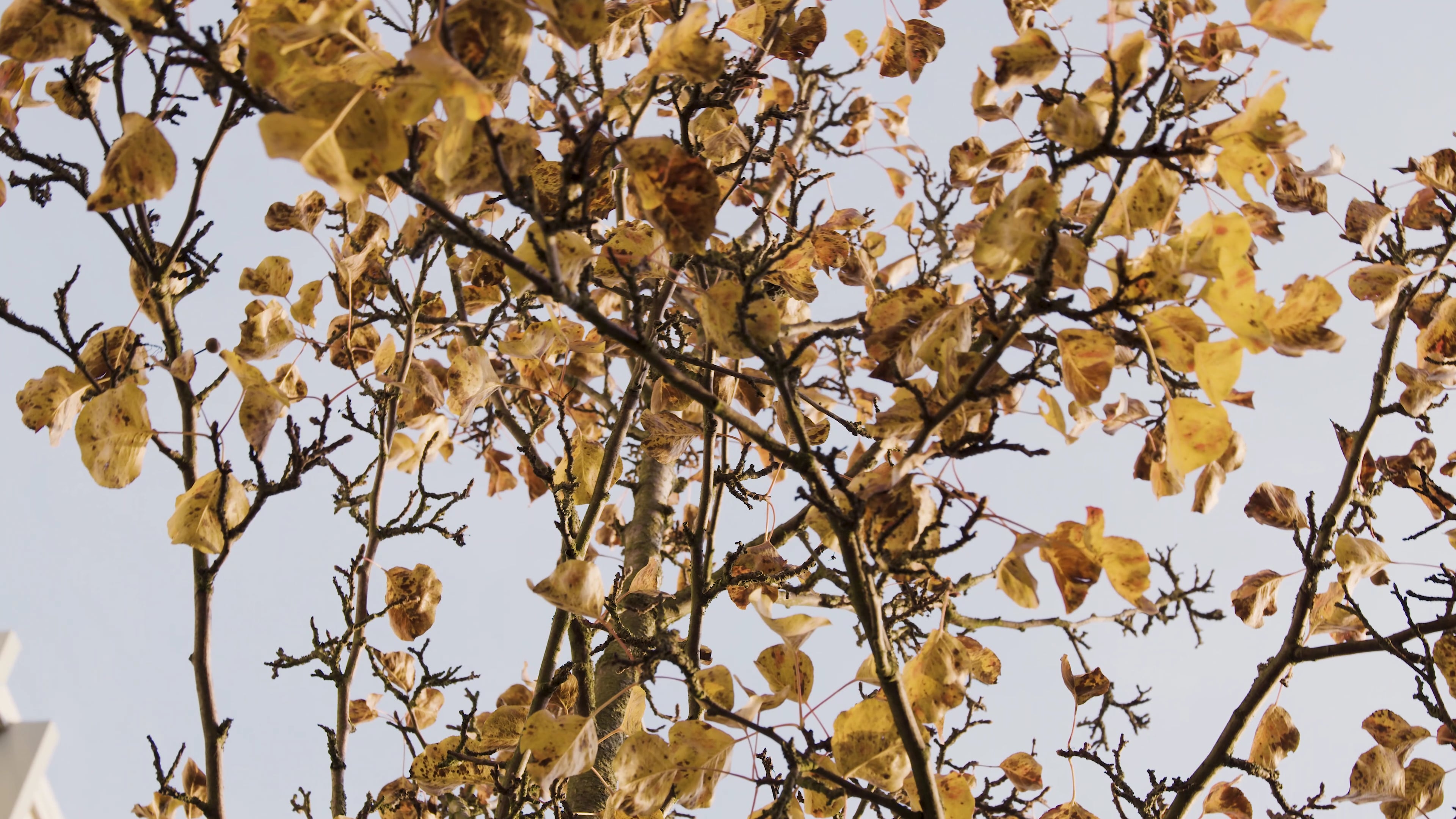 160Jahre_HanVB_United_4k_25p.mp4 on Vimeo