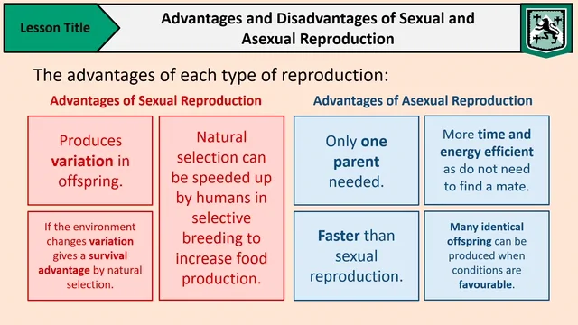 Inheritance, Variation and Evolution- Lesson 3- Advantages and ...