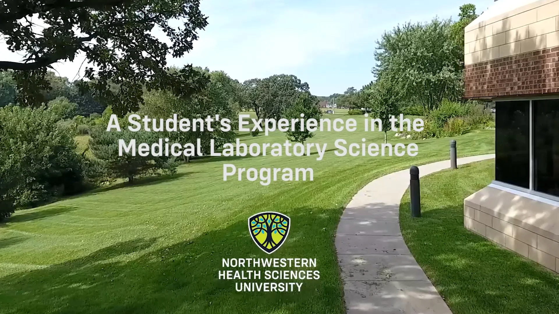 A Student's Experience in the MLT Program