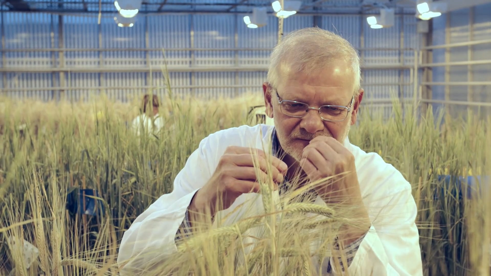 CPB - Carlsberg Beer Beauty Case Study-HD-6797 on Vimeo