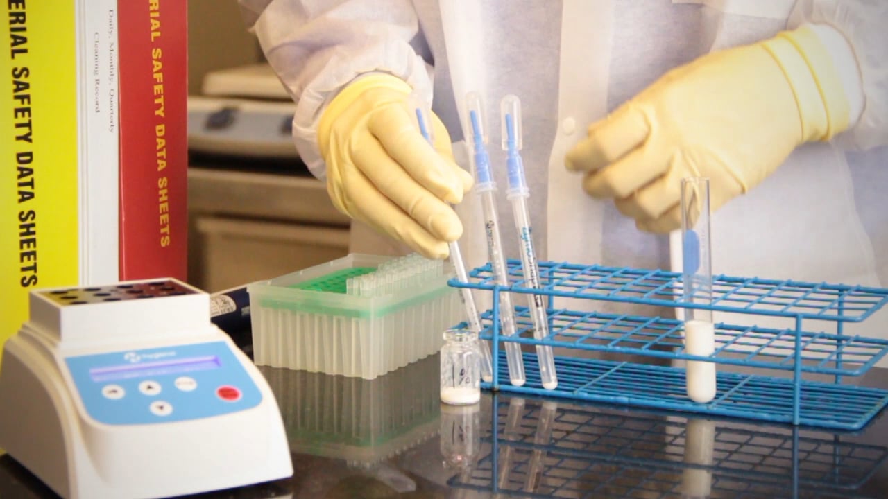 ZymoSnap Positive Control Kit on Vimeo