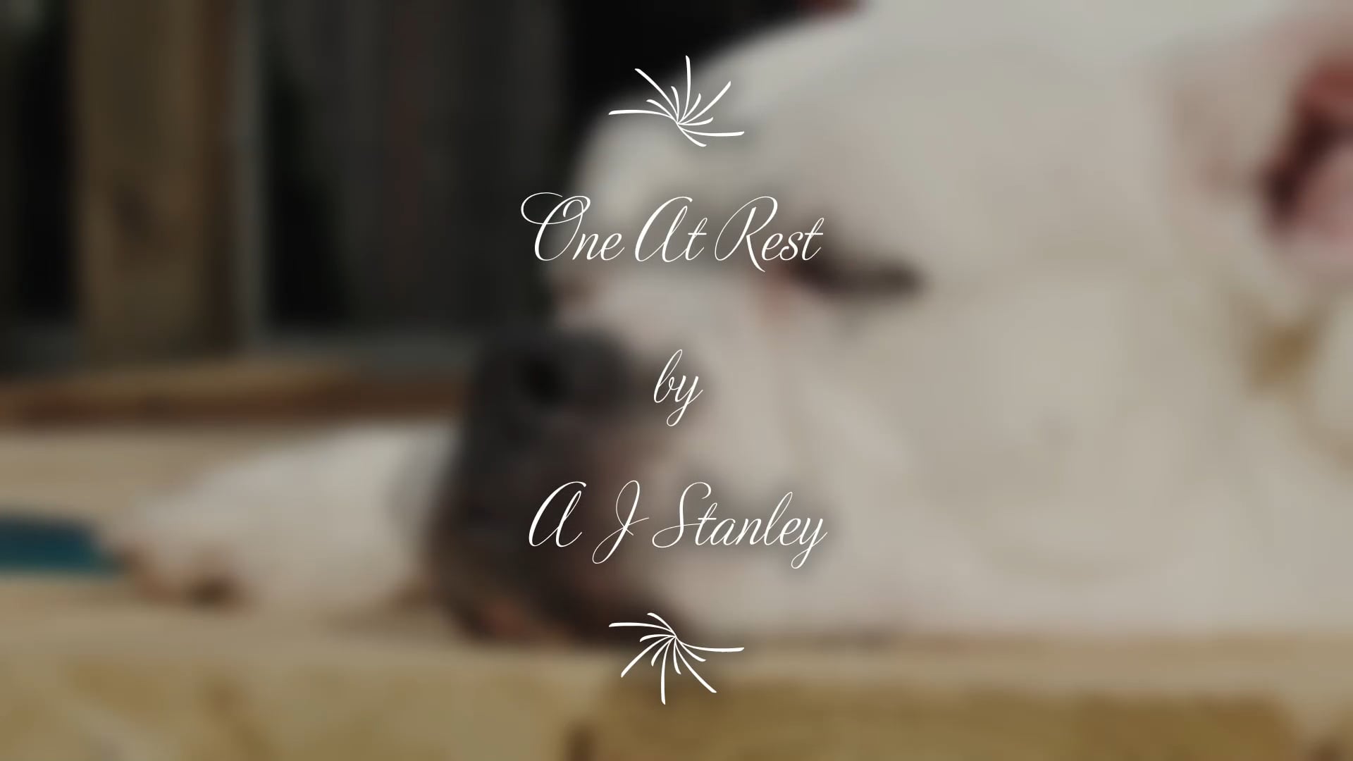 Funeral Poem One At Rest by A J Stanley on Vimeo