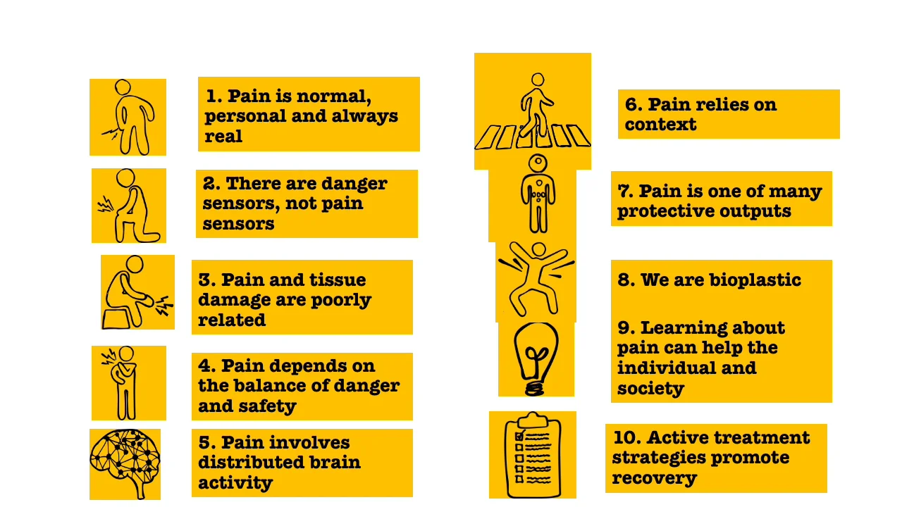 Pain Explained module 4