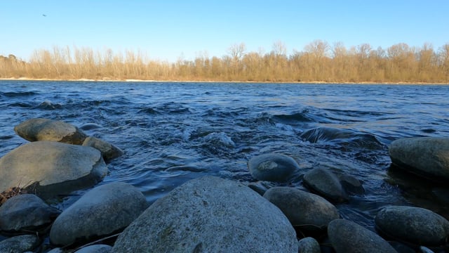 Lake River Shore - Free video on Pixabay