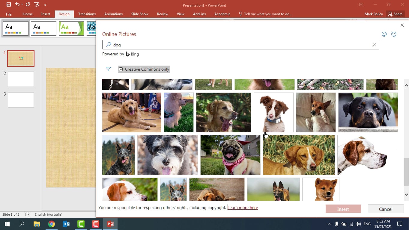 PowerPoint Text and Backgrounds on Vimeo