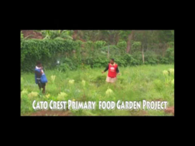 Cato Crest Primary School Food Garden on Vimeo