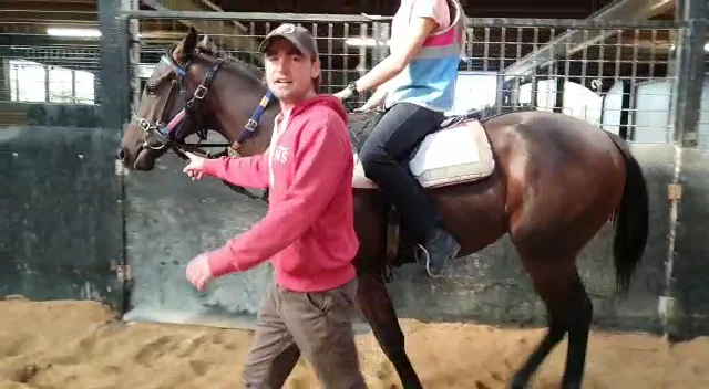 Pollywagon.mp4 on Vimeo