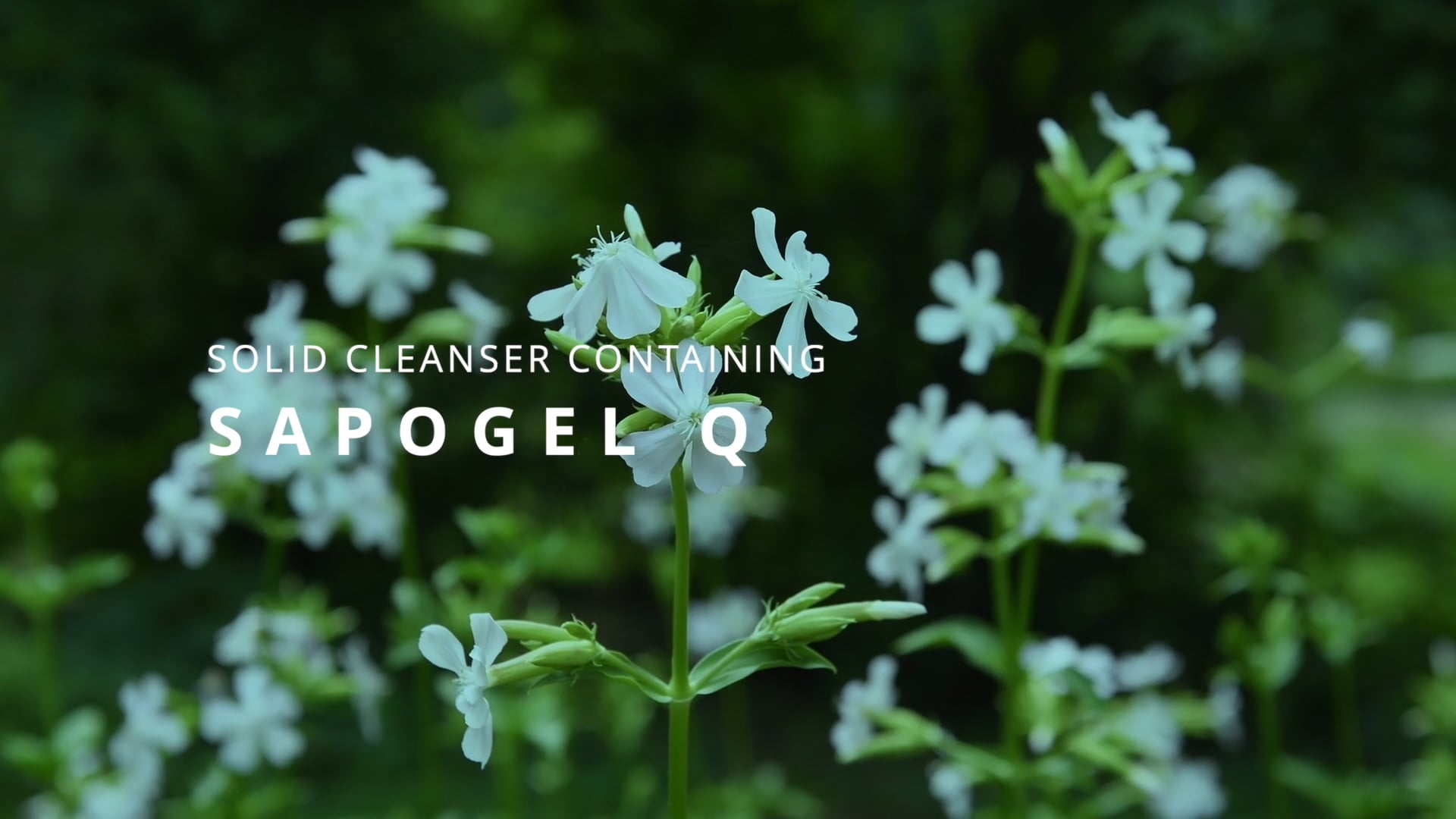 Makeup Removal with Sapogel Q Solid Cleanser on Vimeo