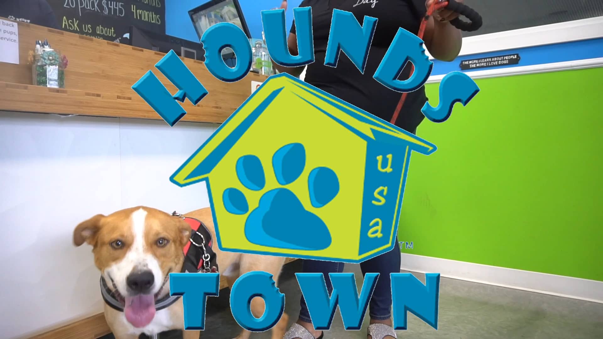 Hounds Town Buildout Video on Vimeo