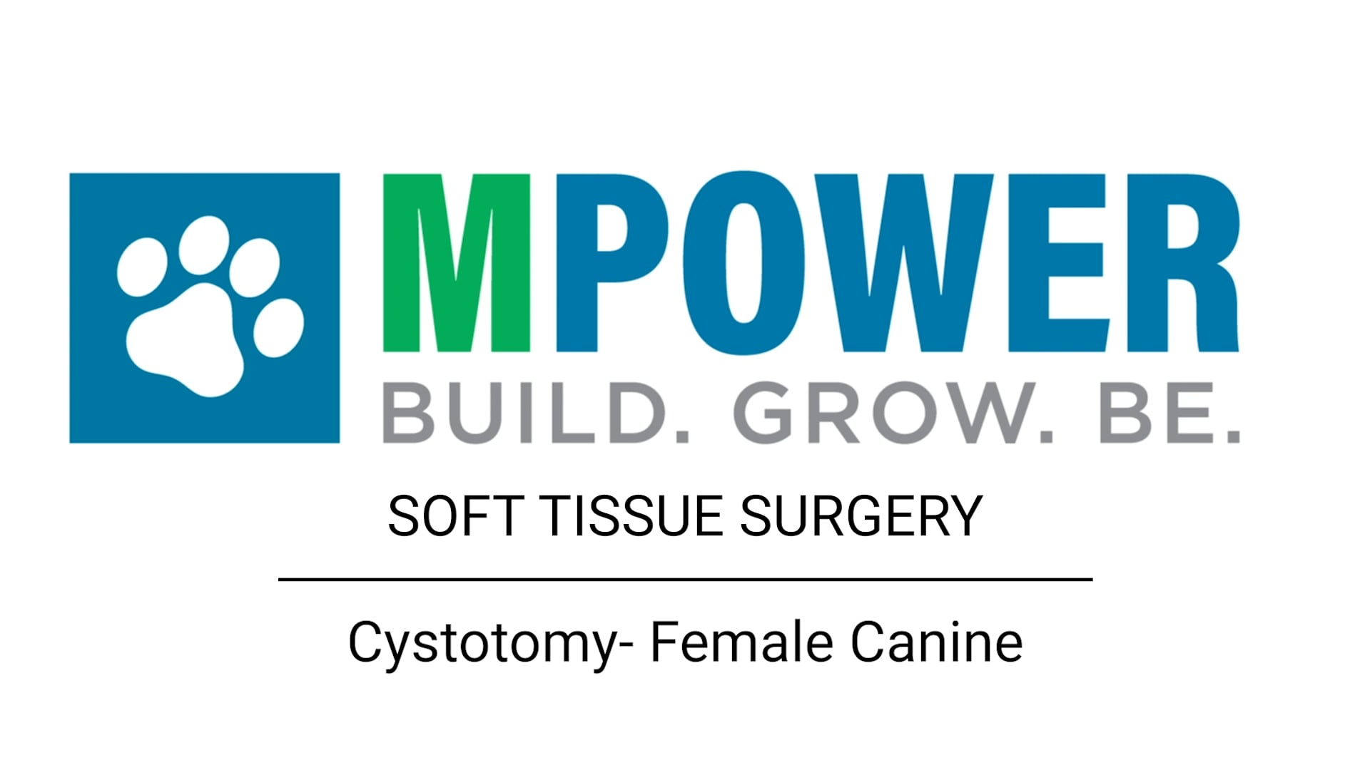 Cystotomy Female Dog on Vimeo