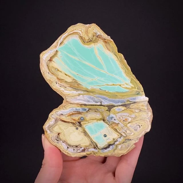 Variscite with Crandallite & Wardite | Little Green Monster Variscite ...