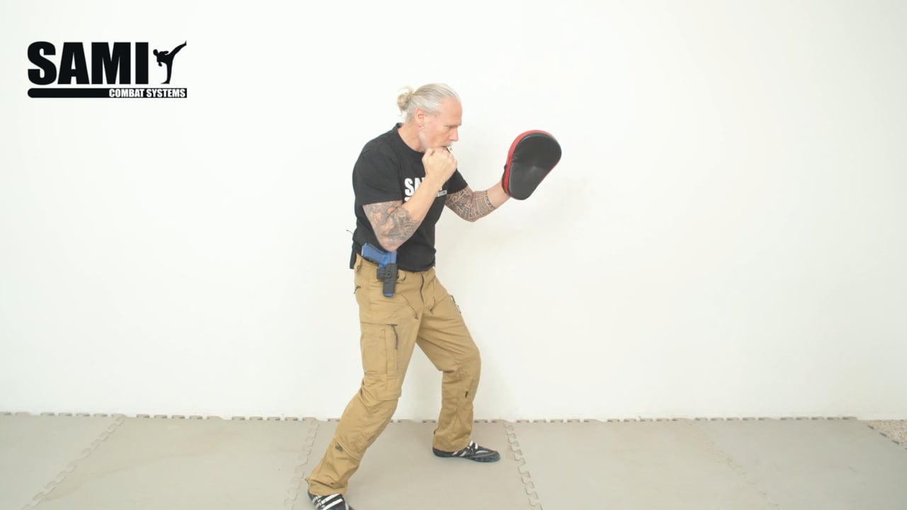 Pad work – Side Hook Exercise 01