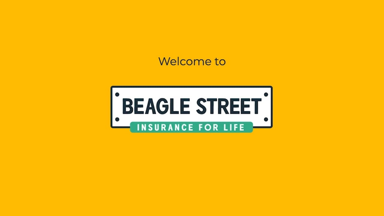 Beagle_Street_Animation_v2 | Videos & Movies on Vimeo