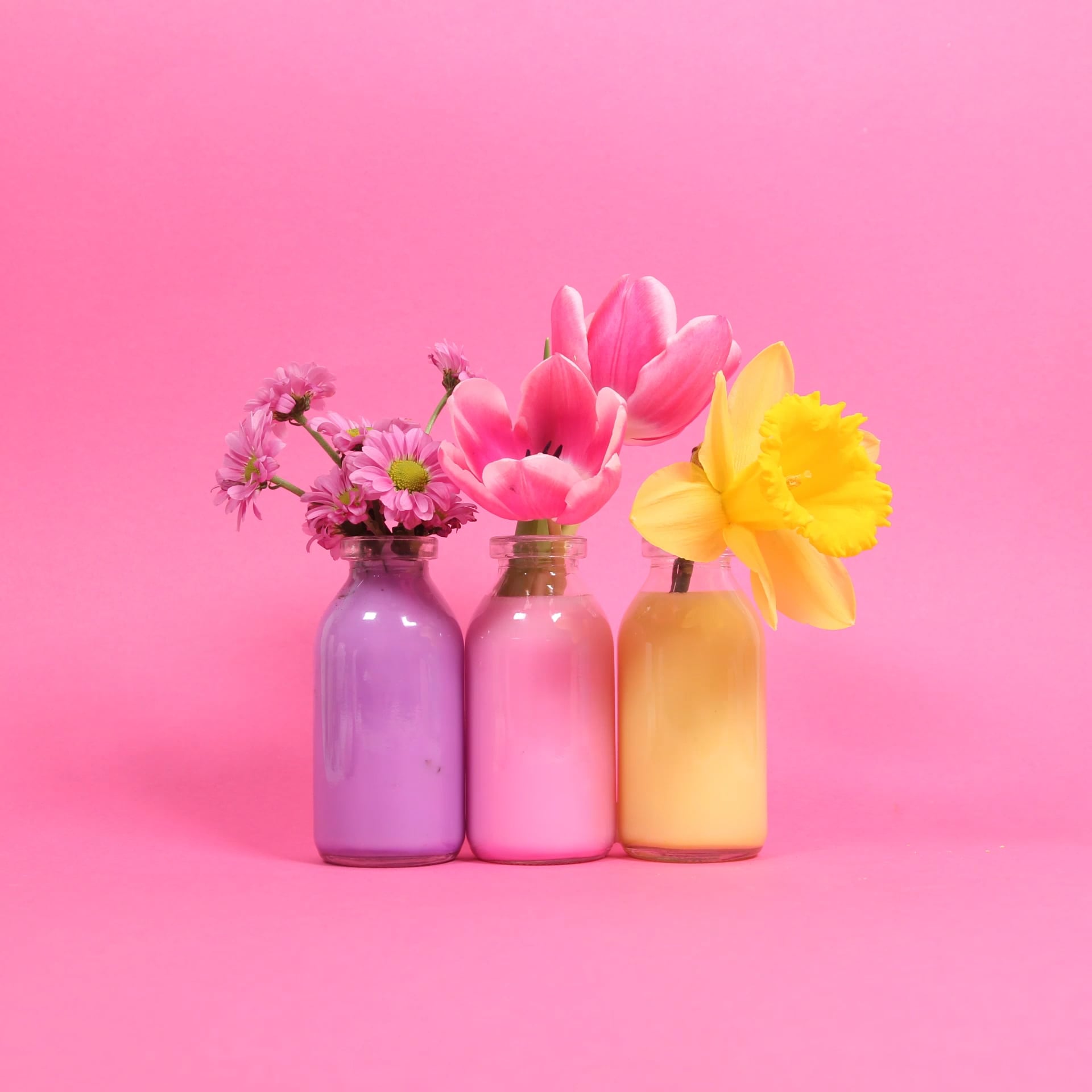 Coloured Flowers Stop Motion Experiment on Vimeo