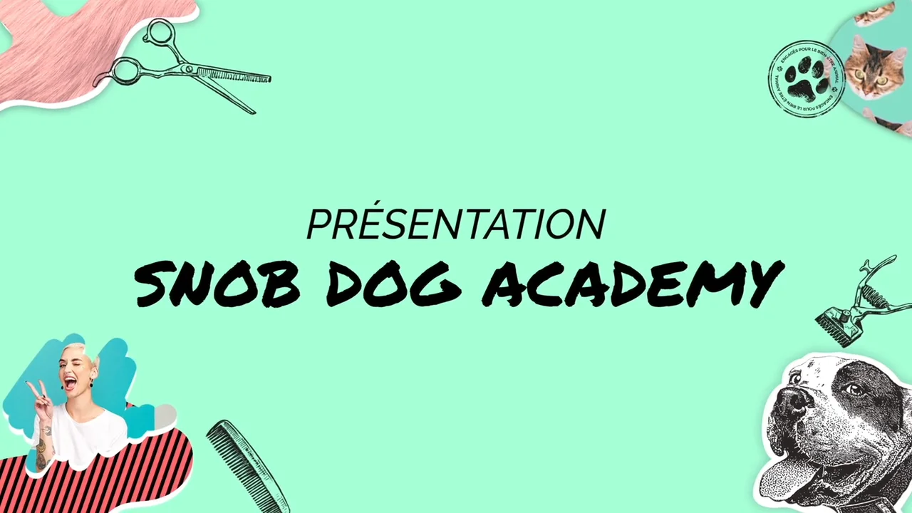 Présentation Snob Dog Academy