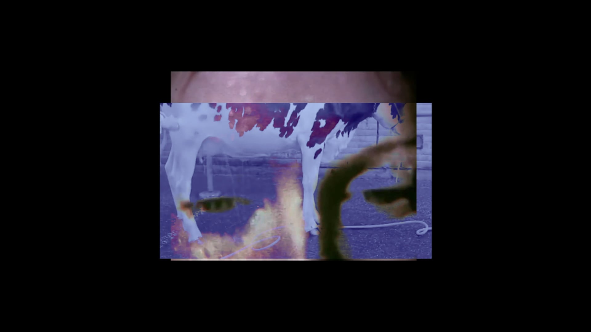bathtime on Vimeo