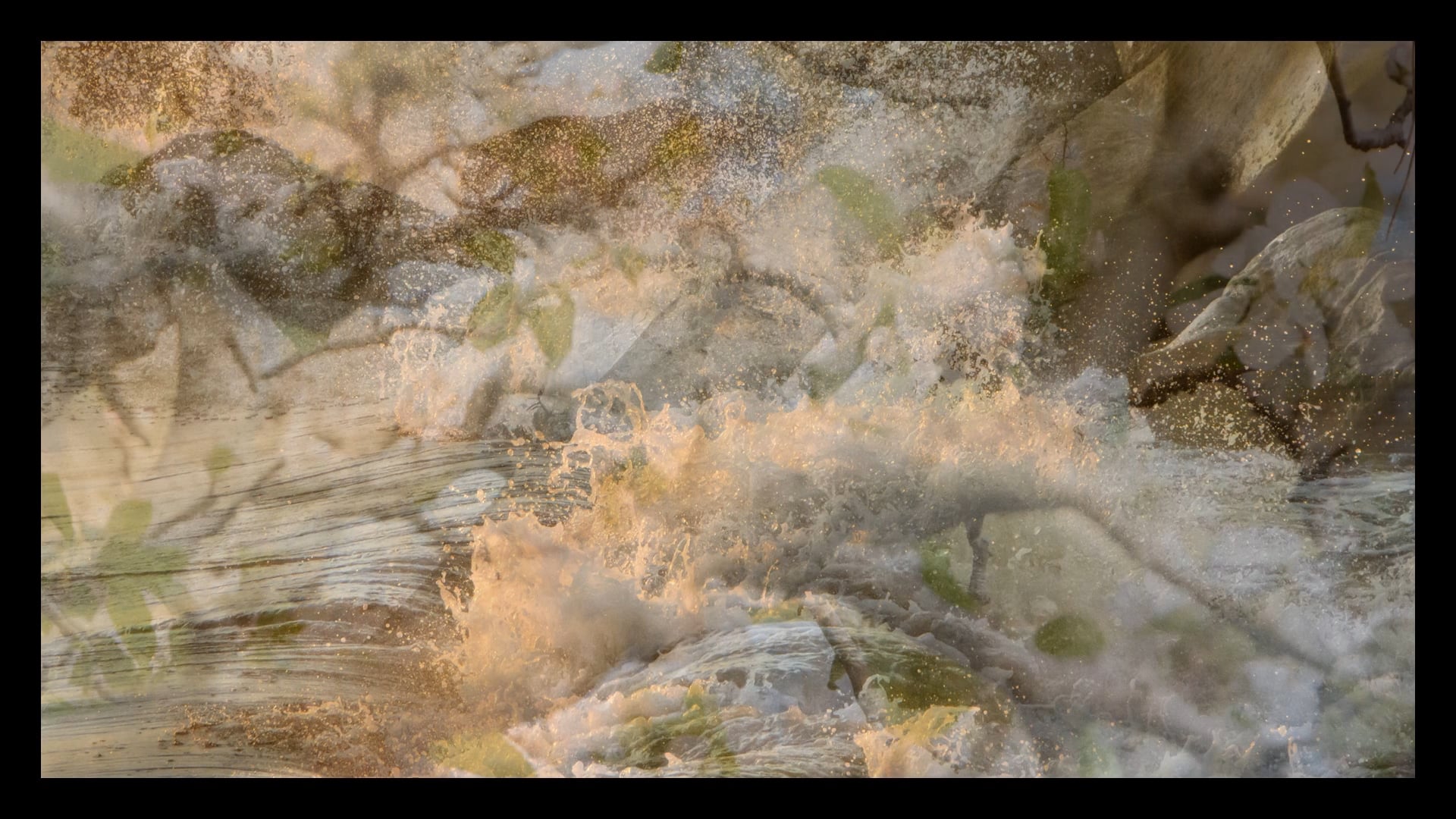 Awakening Earth - Spring (2020) on Vimeo