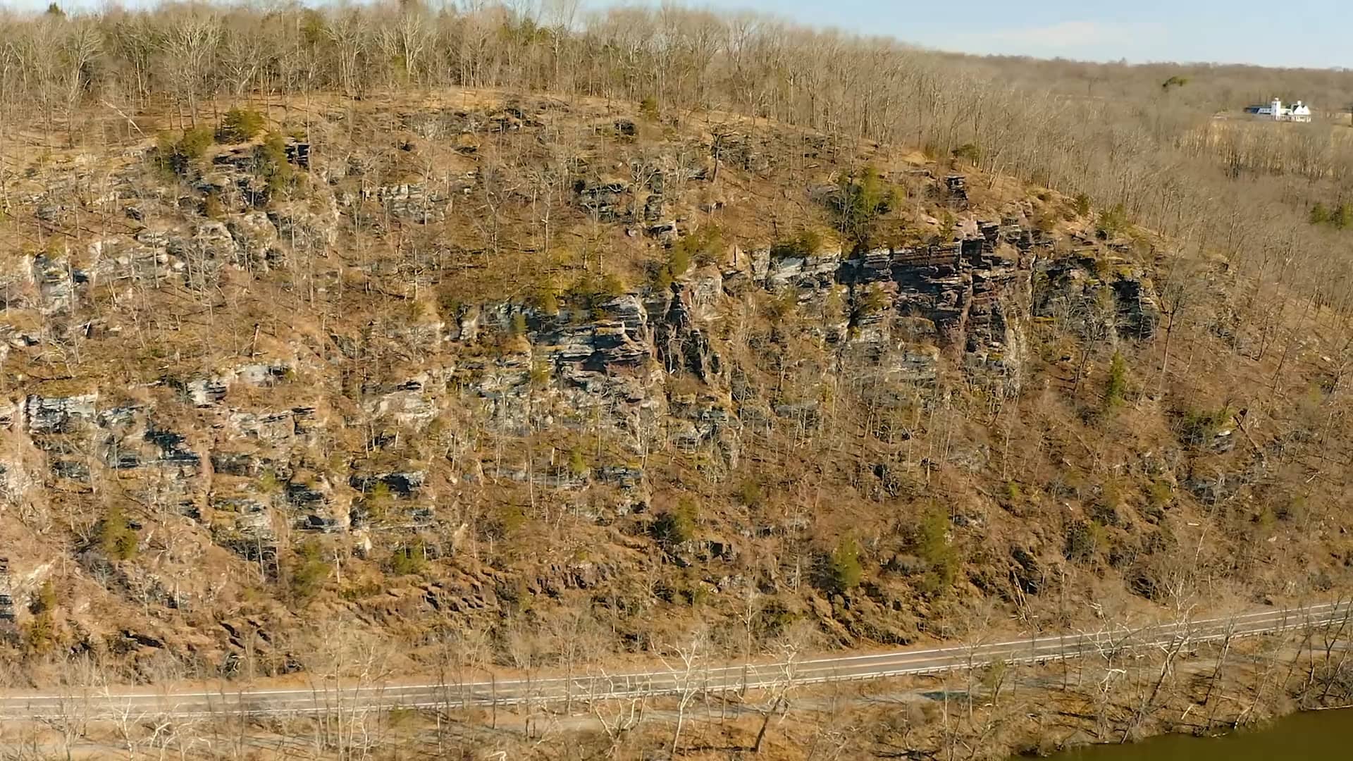 Devils Tea Table to Be Destroyed by State of NJ on Vimeo