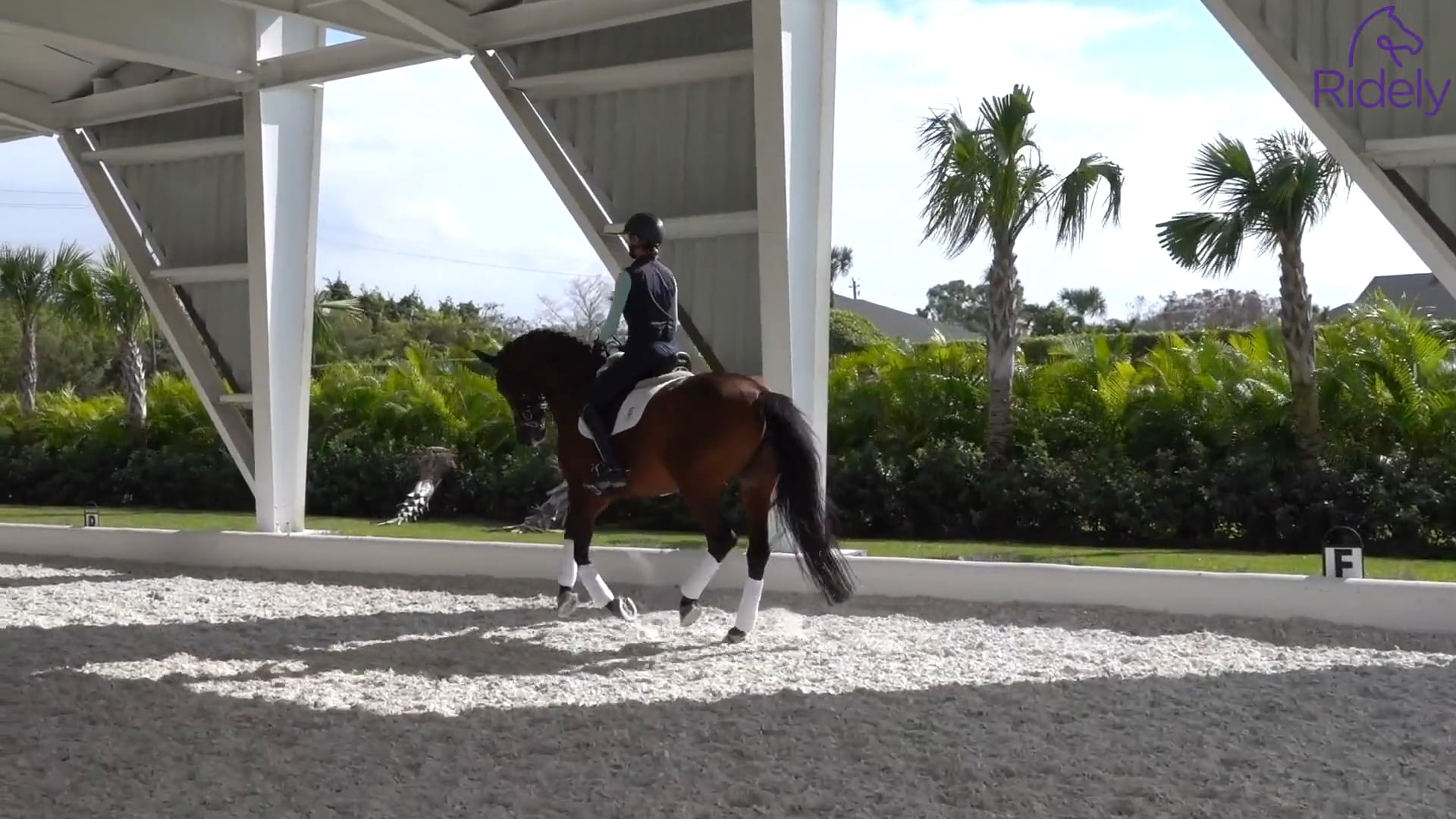 Riding Center Lines | Ridely