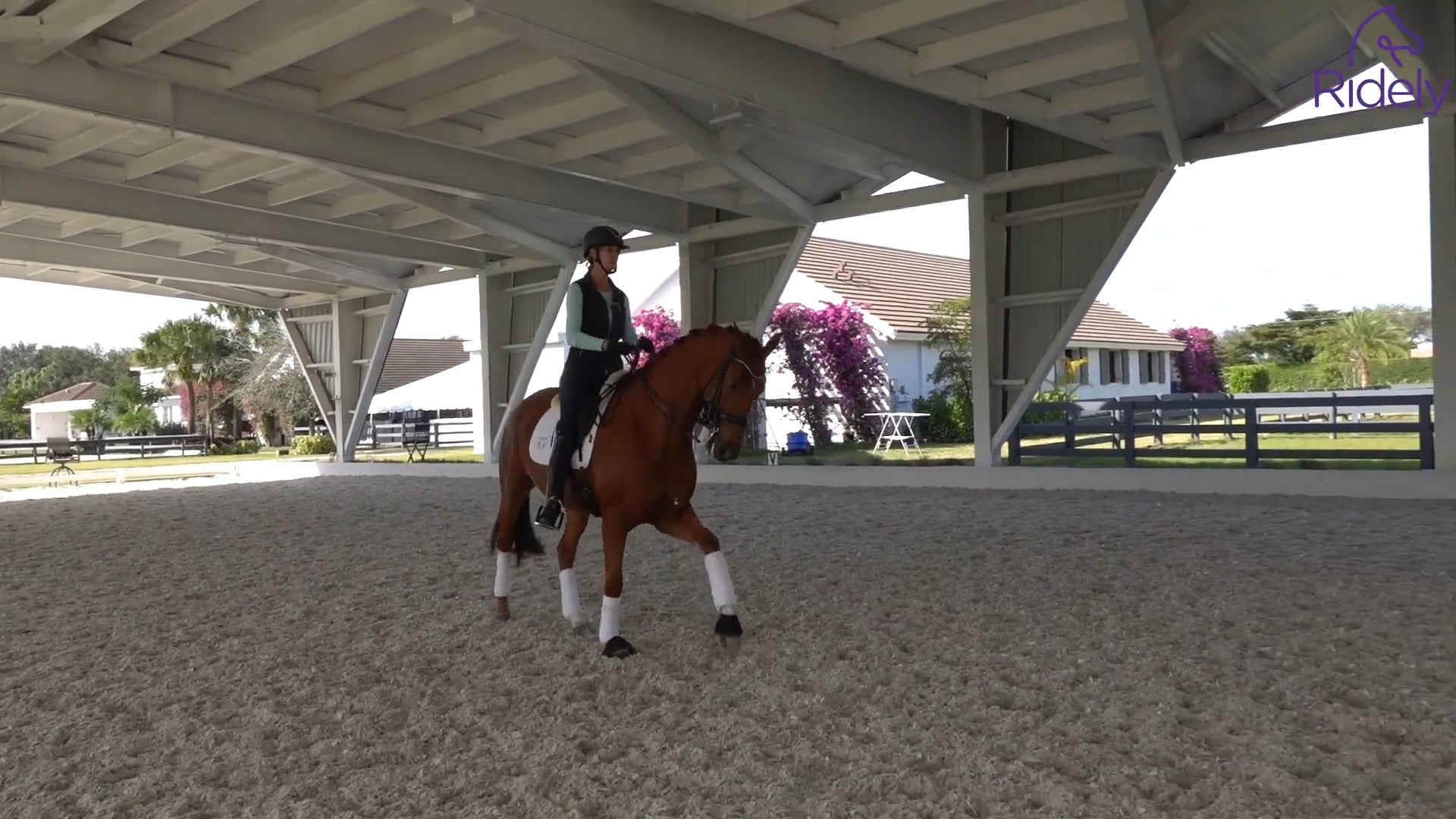 Cantering Small & Turning | Ridely