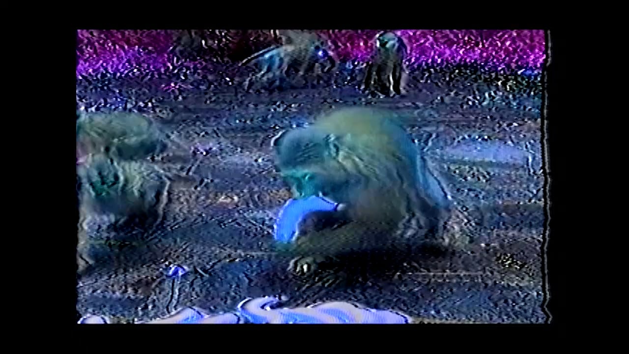 Demo: Archer Video Color Processor on Vimeo