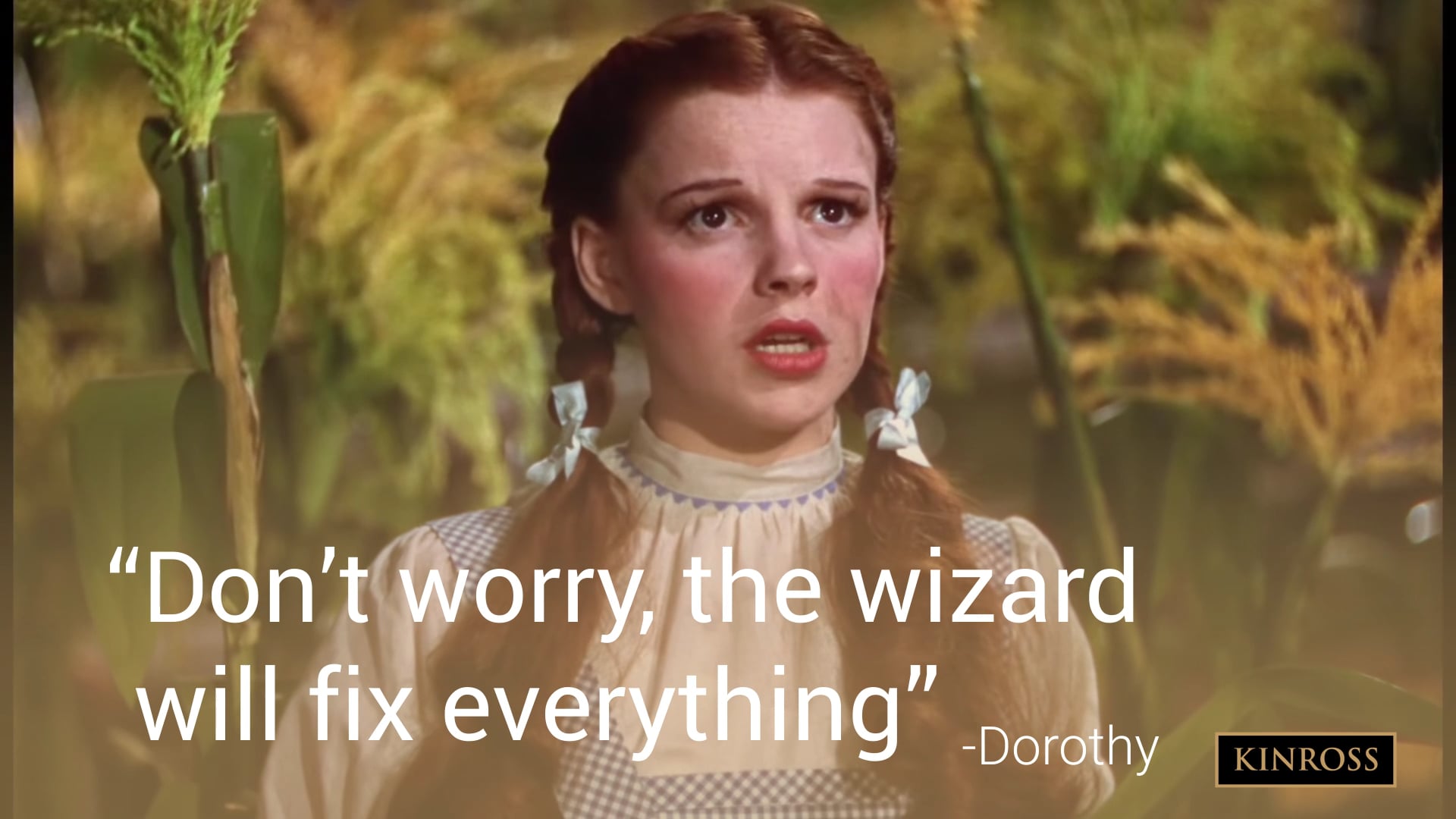 There Is No Wizard Video on Vimeo