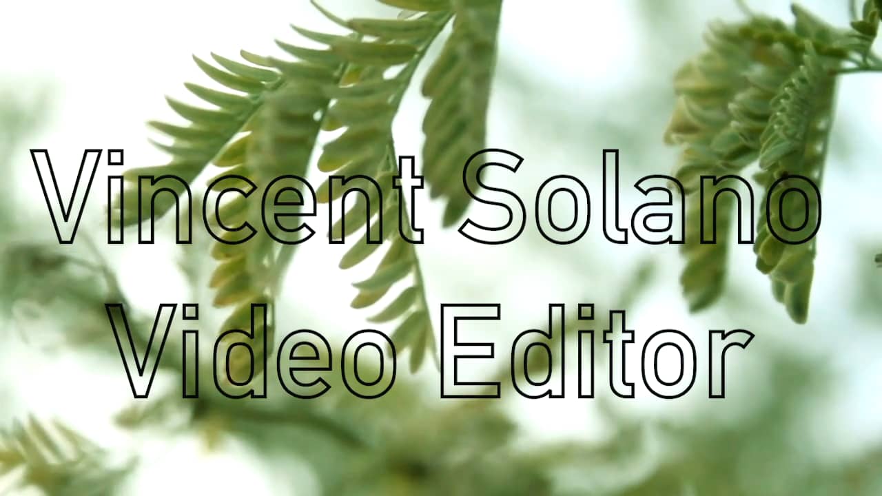 Vincent Solano Demo Reel on Vimeo