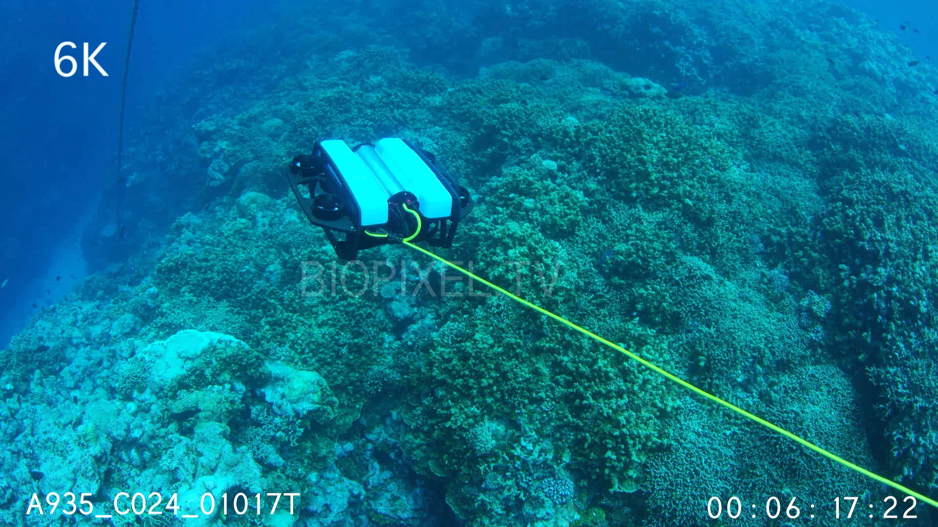 Science - Blue ROV Coral Sea 6K on Vimeo