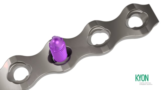 KYON - Leading veterinary orthopedic solutions on Vimeo