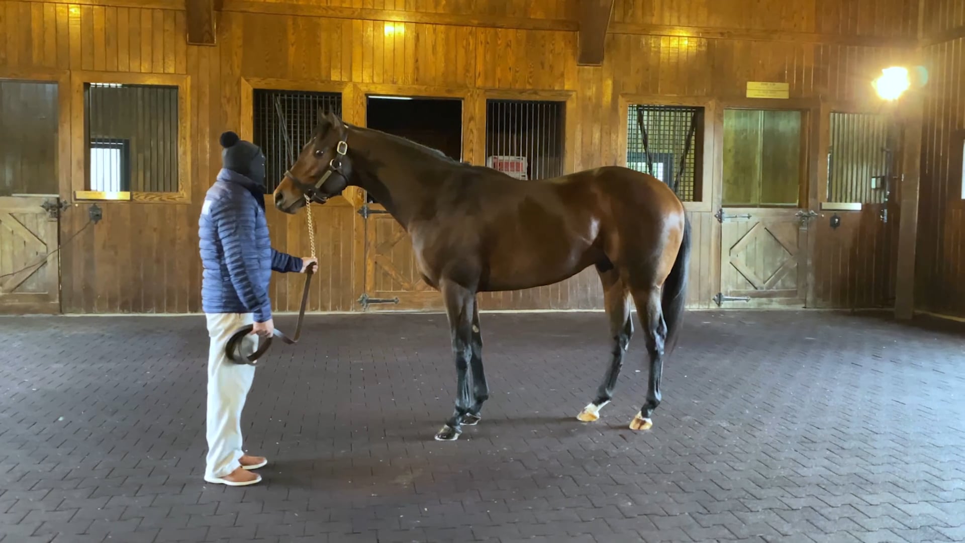 Coolmore America Coolmore TV