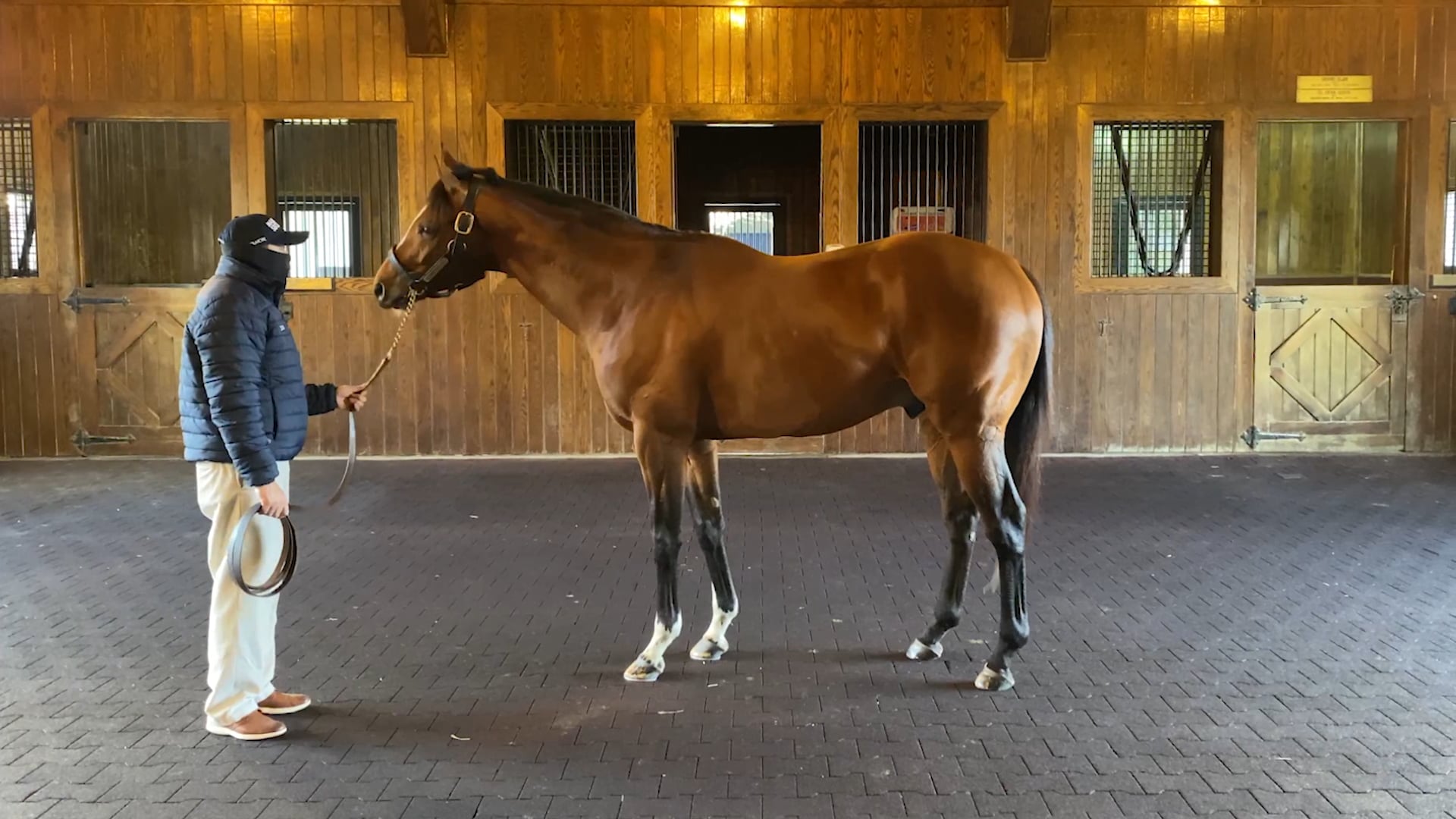 Coolmore America Coolmore TV