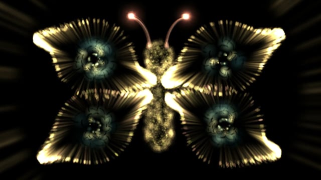 Butterfly Flow Of Light Move - Free video on Pixabay