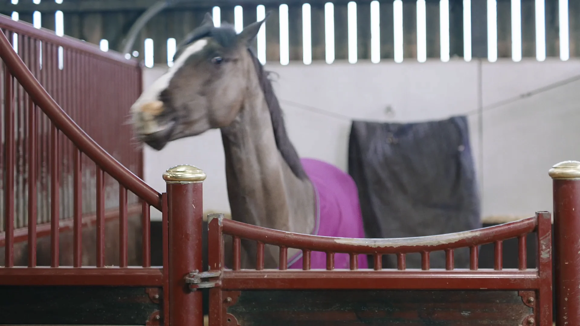 Paddy_Power_Idents_The_Stables_'Boss_Cheltenham'_10_ITV-Viewer.mp4 on Vimeo