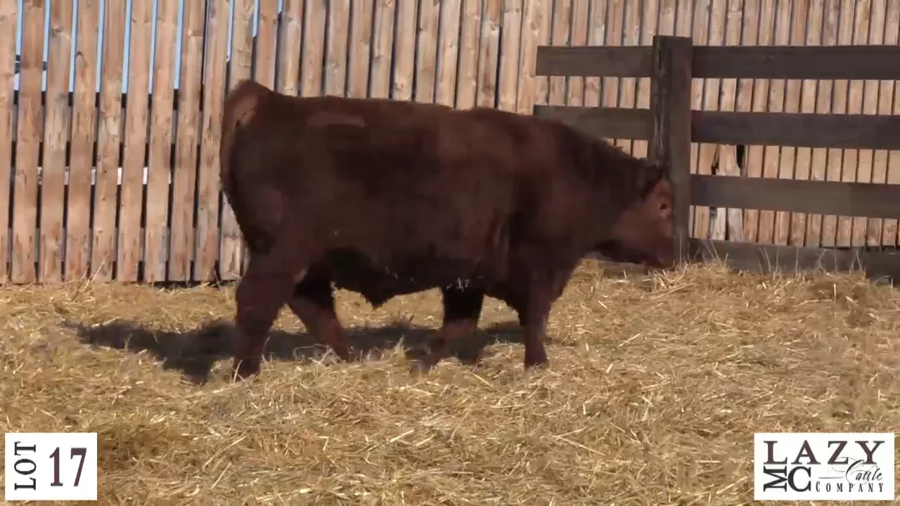 Lazy MC 2021 Lot 17_sm on Vimeo