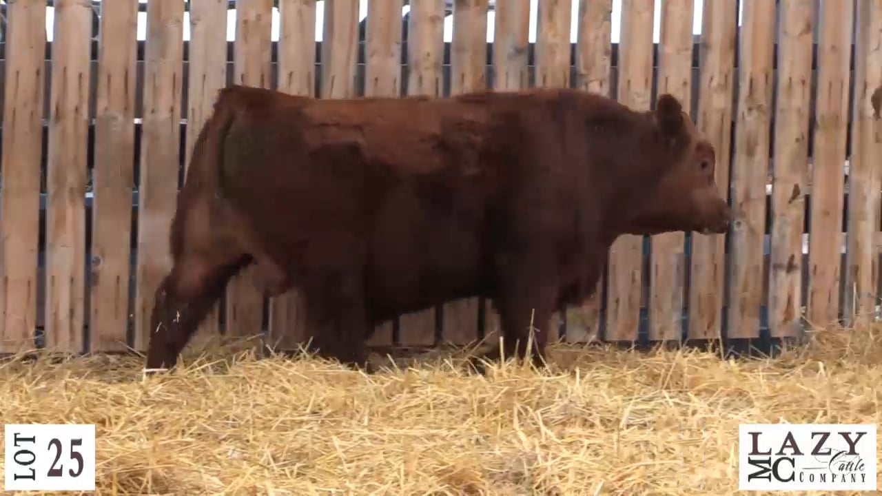 Lazy MC 2021 Lot 25_sm on Vimeo