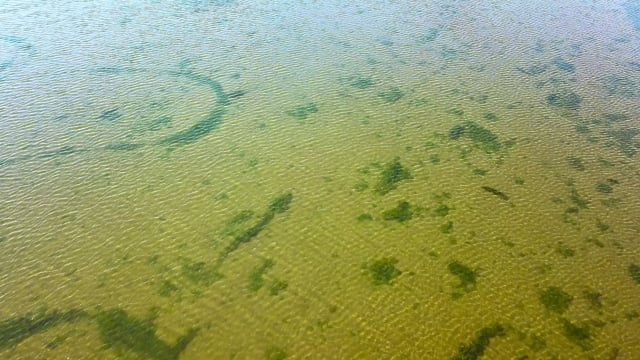 Laguna Water River - Free video on Pixabay