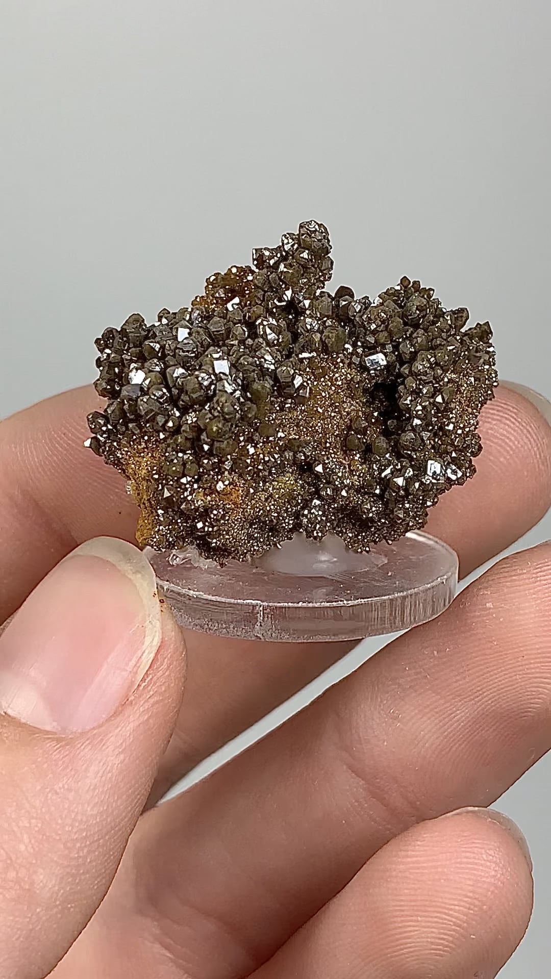 IMG_E2148.MOV on Vimeo