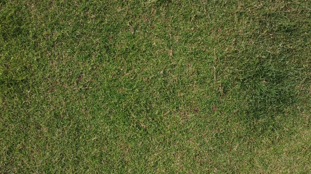 Drone, Grass, Lawn. Free Stock Video - Pixabay