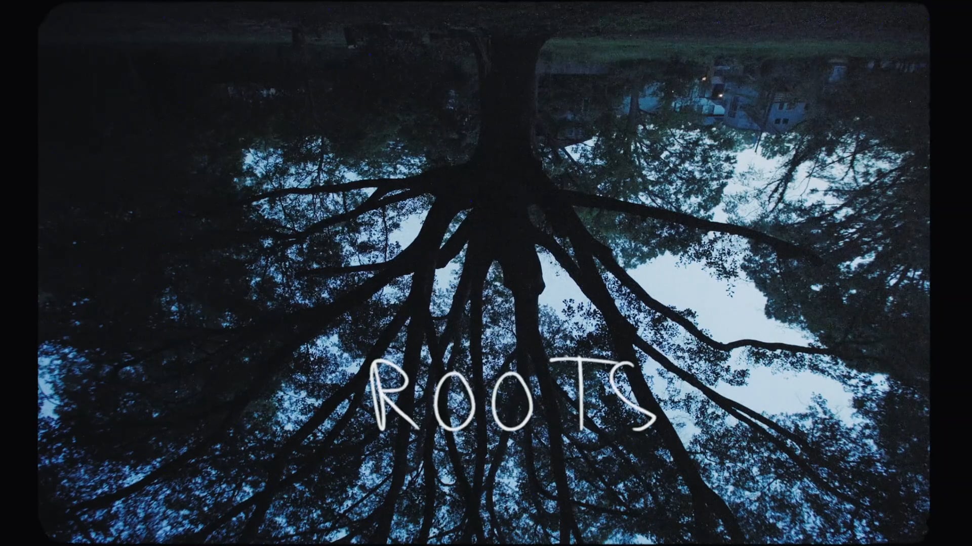 ROOTS on Vimeo