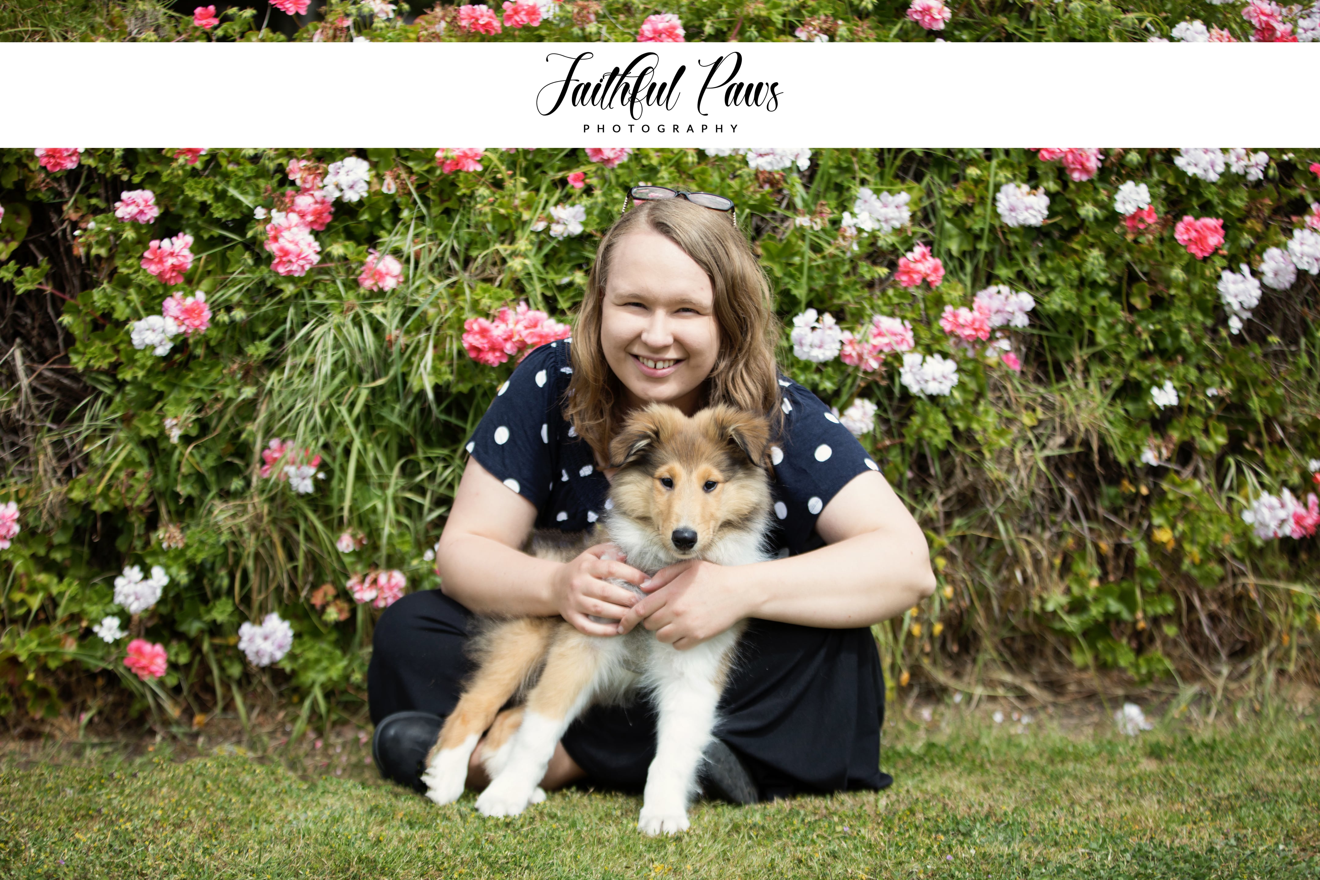 Faithful Paws Pet Photography on Vimeo