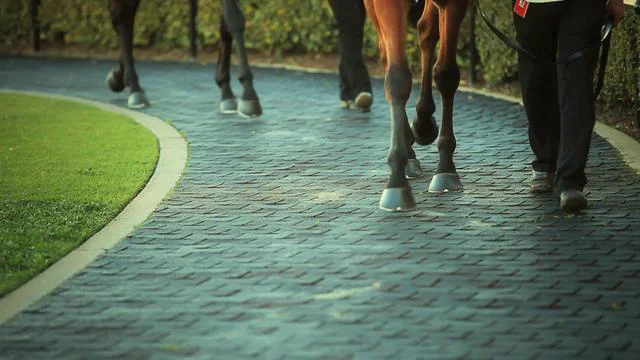 Races Intro on Vimeo