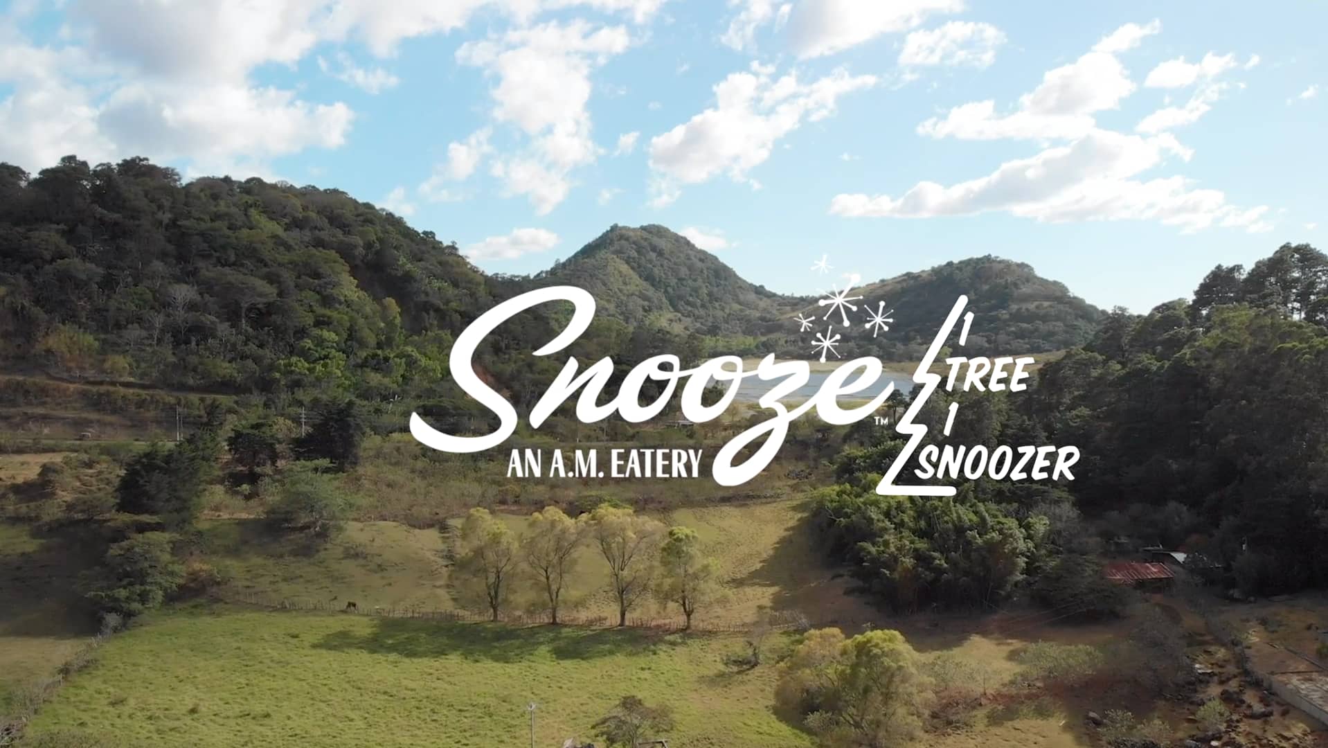 Snooze’s 1 Tree 1 Snoozer Initiative: Taking On Climate Change on Vimeo