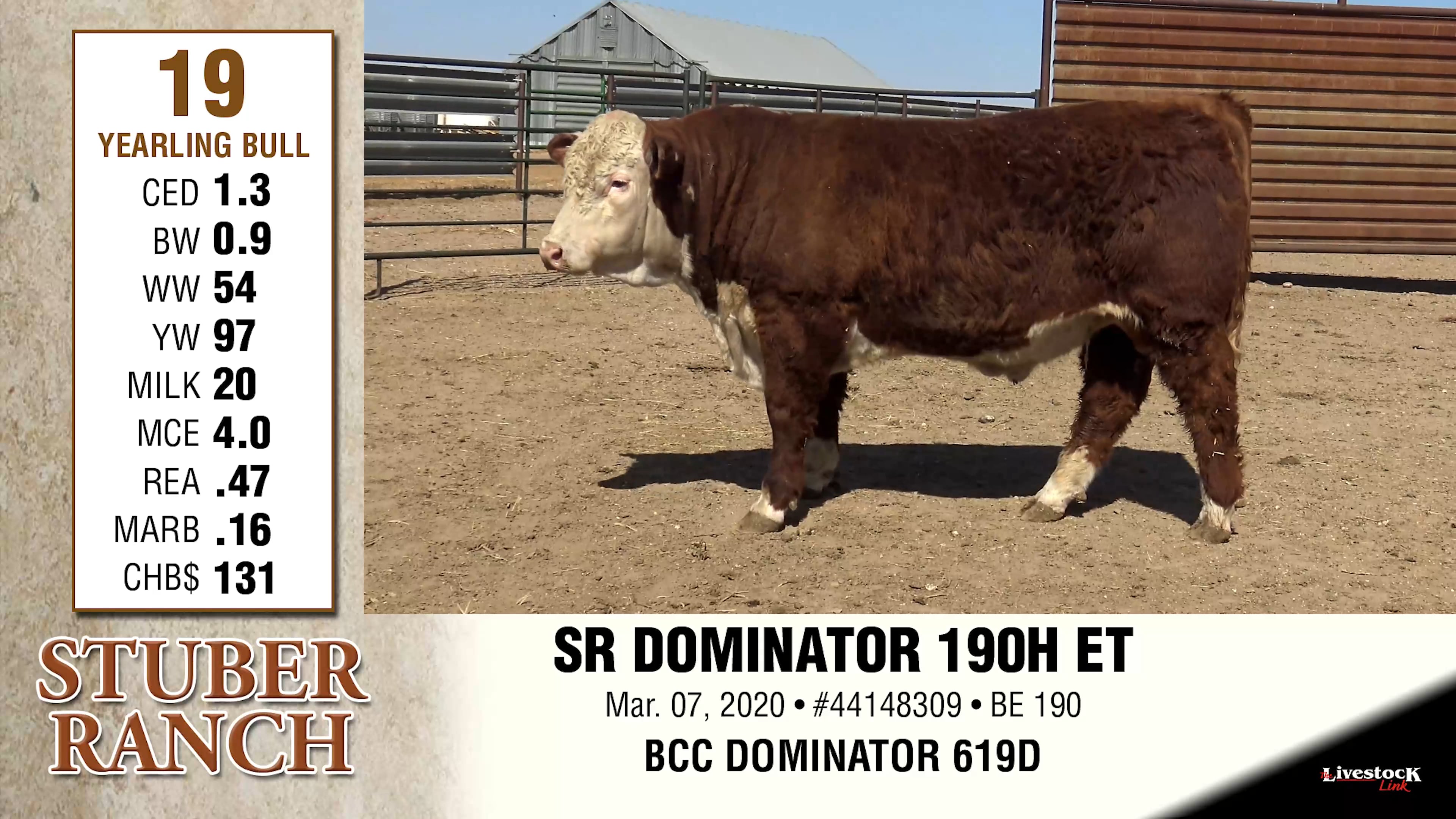 Stuber Ranch - Lot 19 on Vimeo